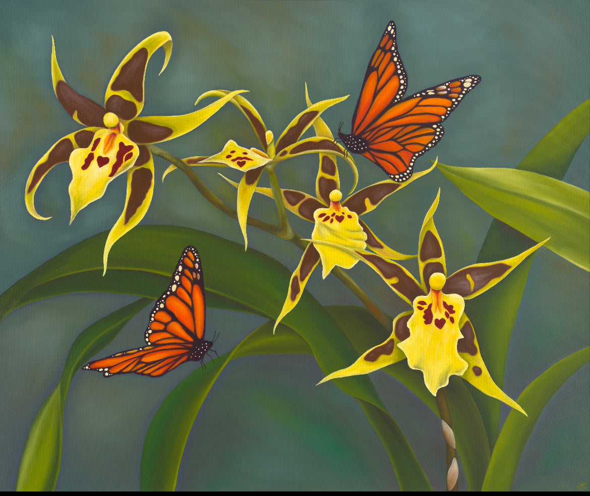 Pulelehua (Hawaiian Butterfly) Limited Edition Giclee – Kai Pua Gallery